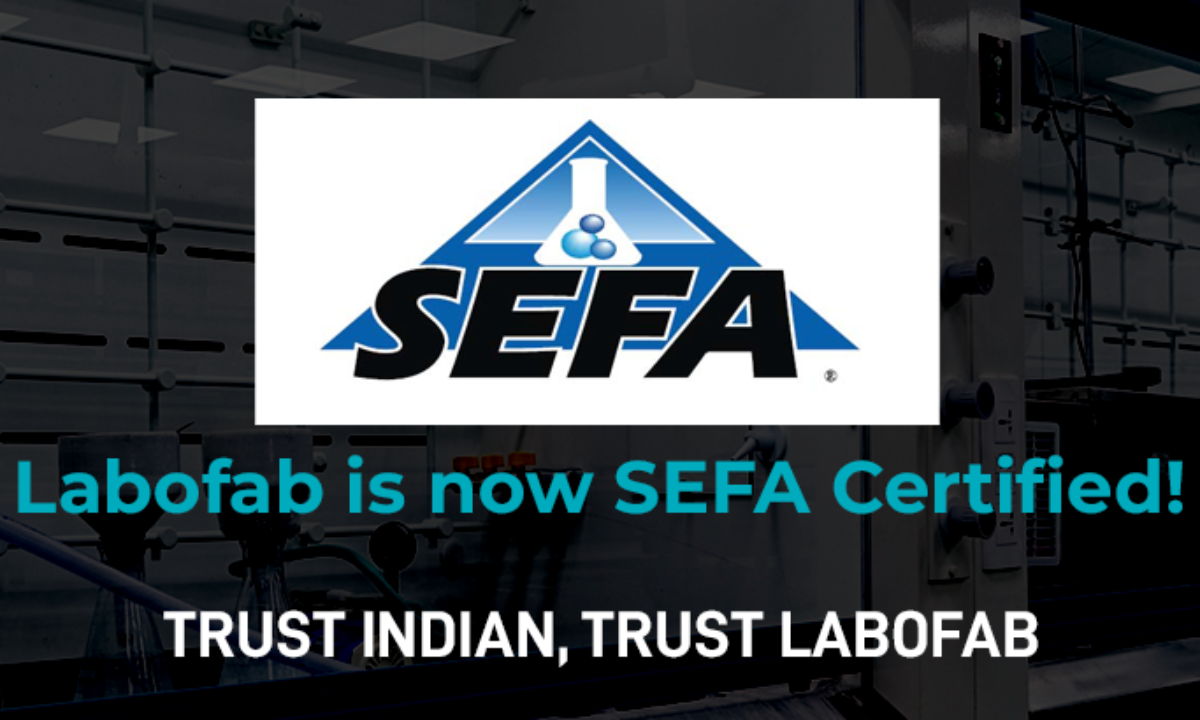 Sefa Logo Sefa V3 Clam Ball Logo Cap Press UK 2025